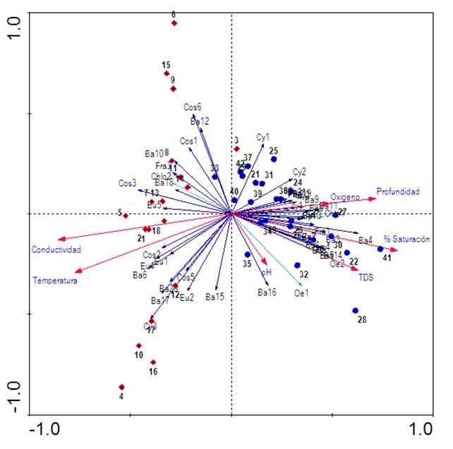 Cambios en la Estructura Perifitica. Art 3